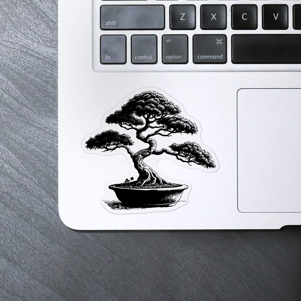 'Bonsai Tree in Pot' Clear Sticker Decals (DC050886) | eBay UK