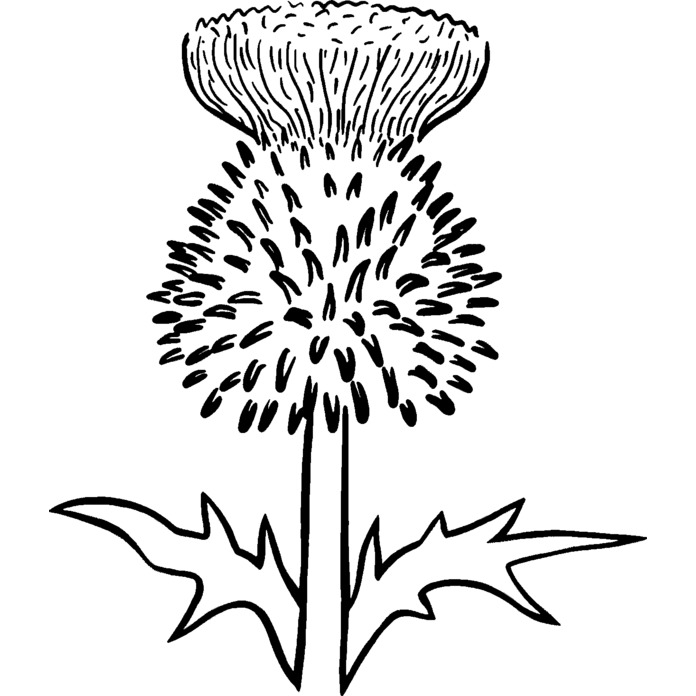 'Thistle' Unmounted Rubber Stamp (RS023394) | eBay
