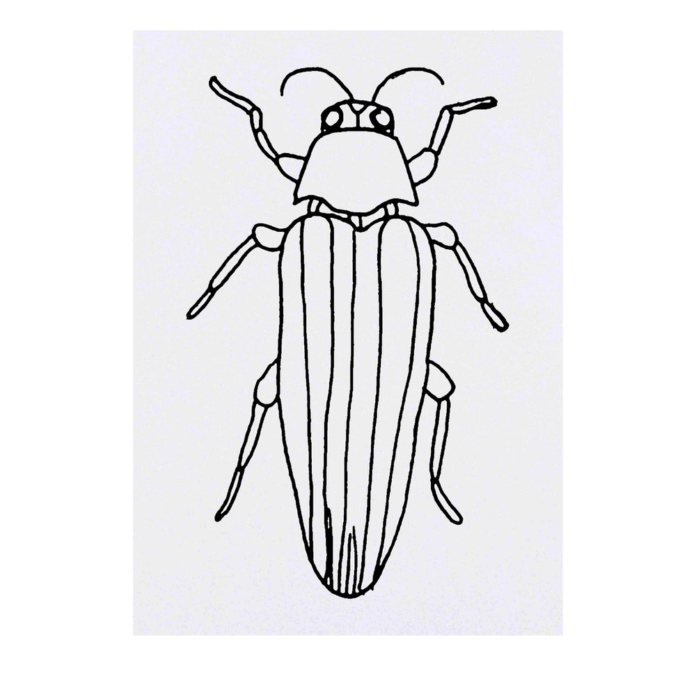 Large 'Creepy Cockroach' Temporary Tattoo (TO00024546)